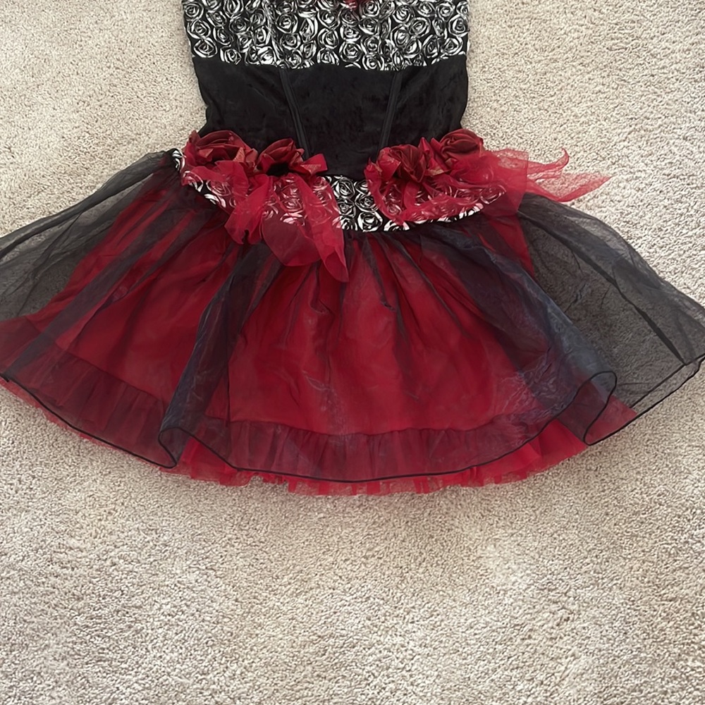 Super Cute Silver/ Red Roses, Costume Womens Mini Dre… - Gem